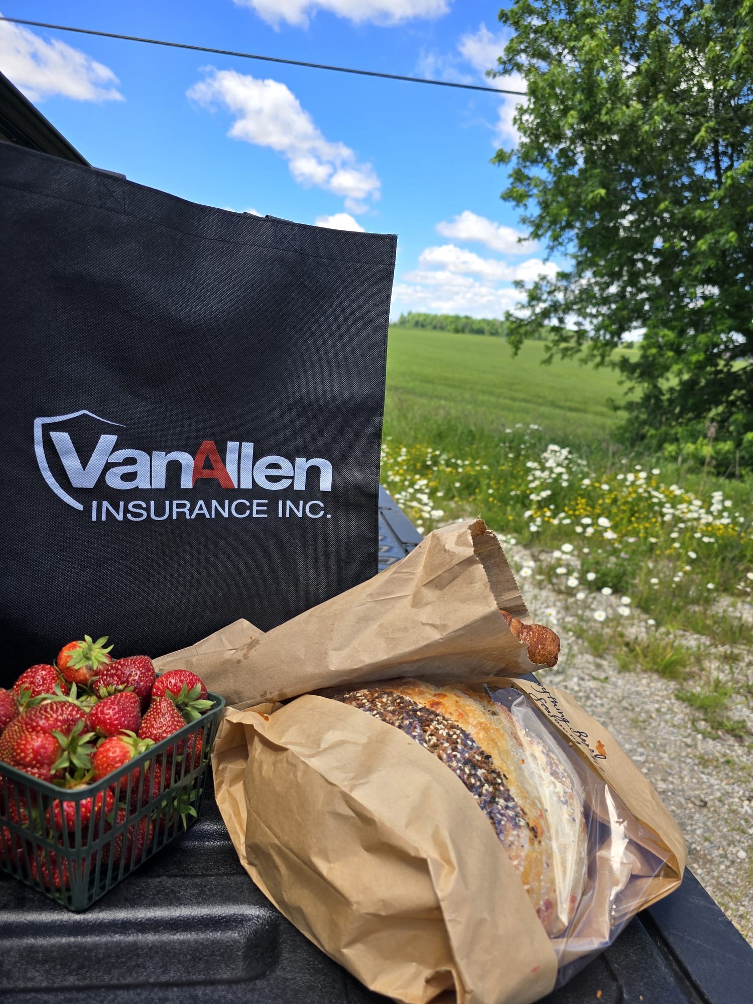 Farmer's Market Season - Van Allen Insurance Inc.